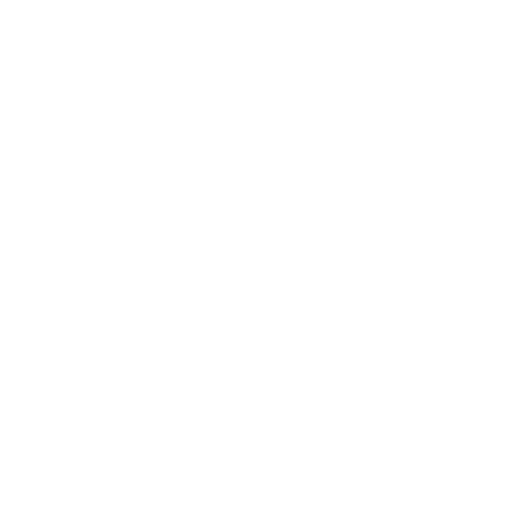 Portfolio - Motto XX